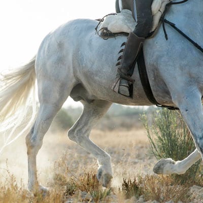 About Hunkapi - Hunkapi