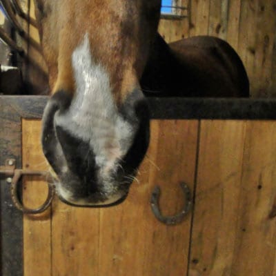 About Hunkapi - Hunkapi