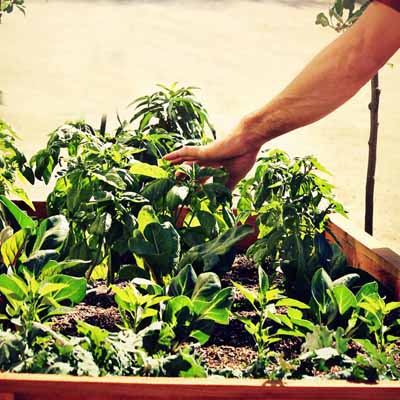 About Hunkapi - Hunkapi